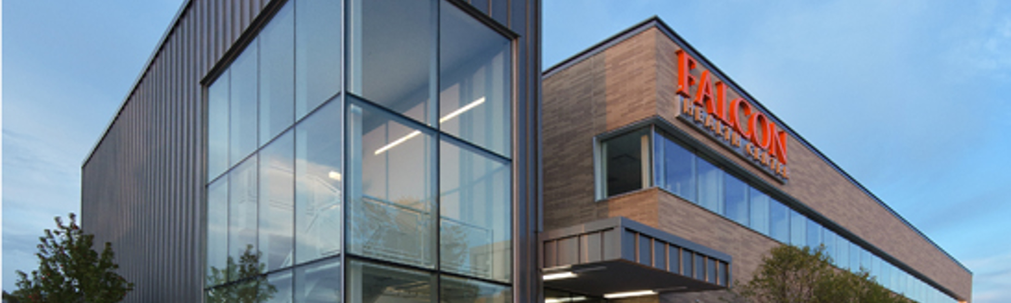 Falcon Health Providers